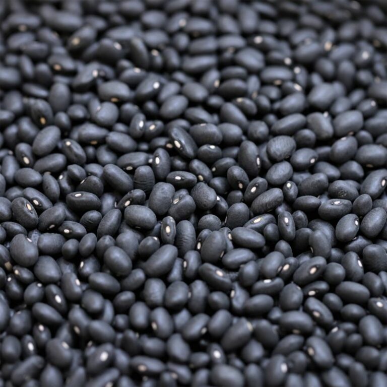 Black Turtle Beans - Scoop Wholefoods Bristol