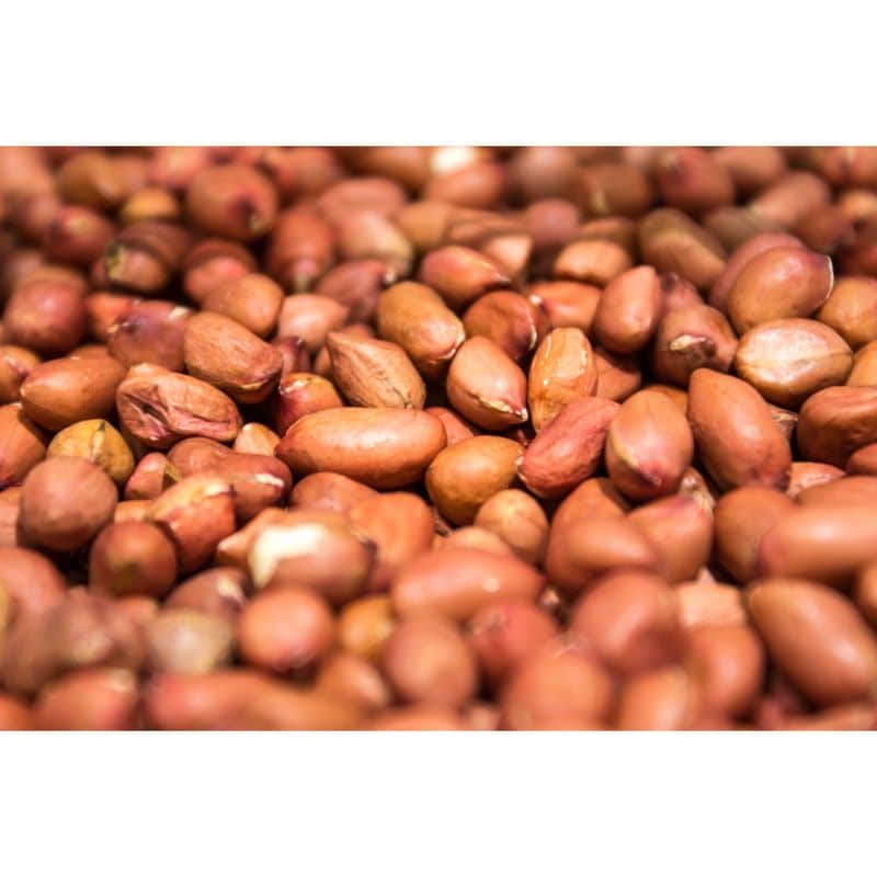 Peanuts Red Skin - Scoop Wholefoods Bristol